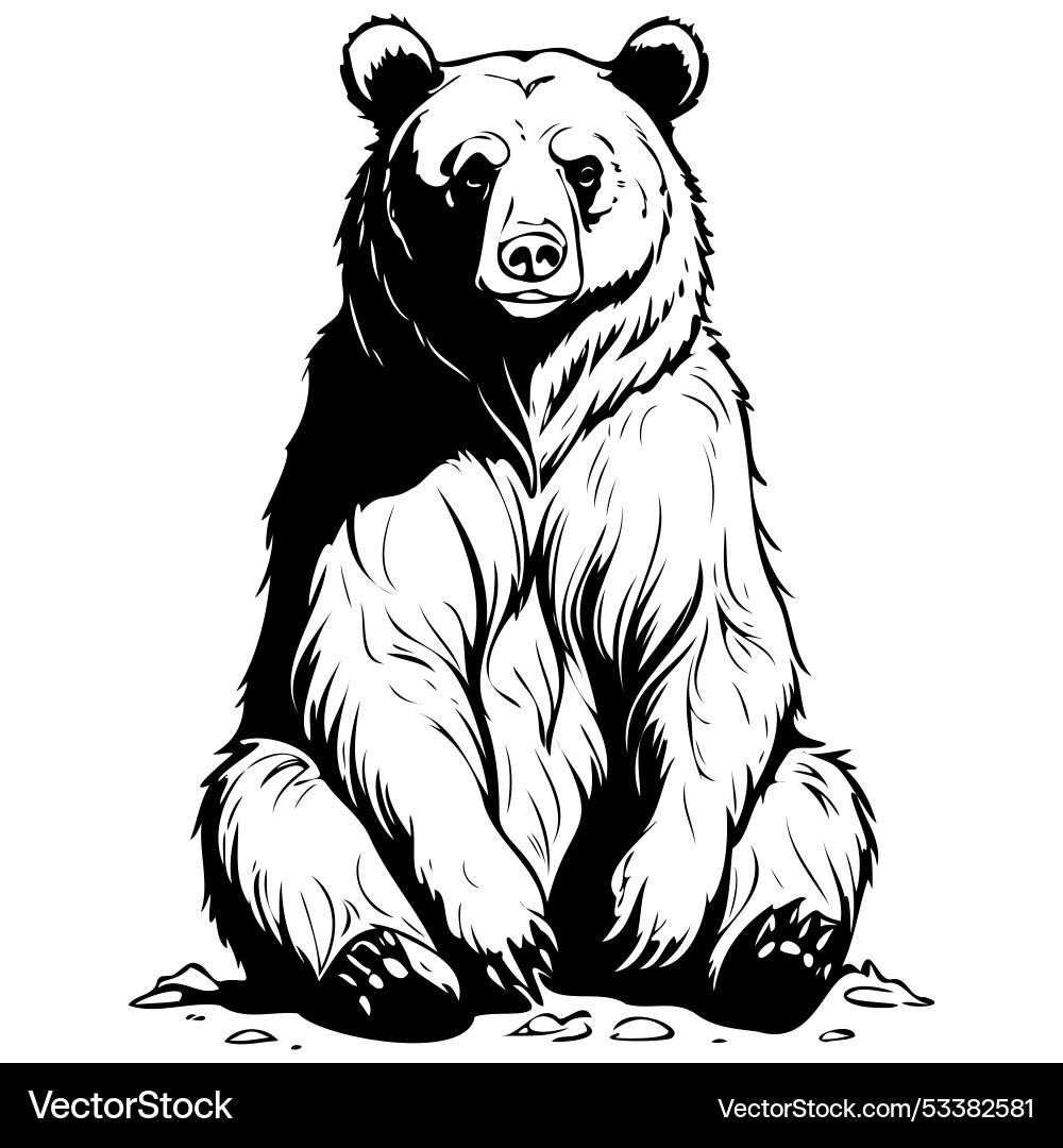 Realistic brown bear sitting drawing Royalty Free Vector