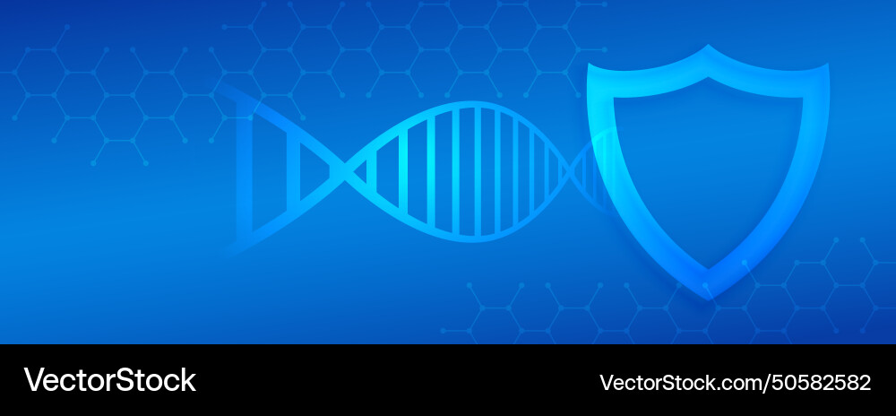 Modern health protection shield background Vector Image