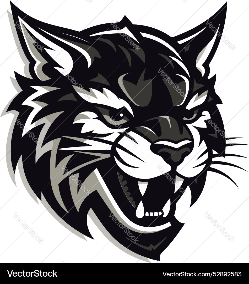 Bobcat design a wild predator animal in design Vector Image