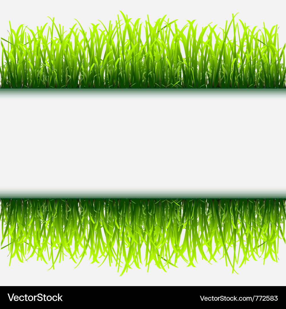 Green grass frame Royalty Free Vector Image - VectorStock