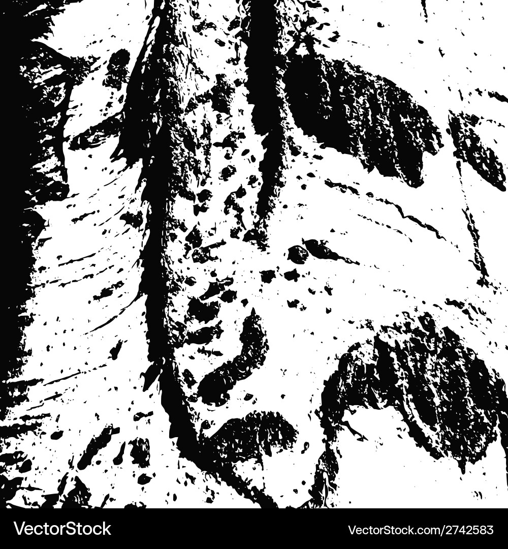 Poplar bark Royalty Free Vector Image - VectorStock