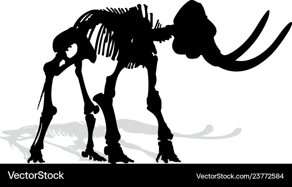 Skeleton of mammoth Royalty Free Vector Image - VectorStock