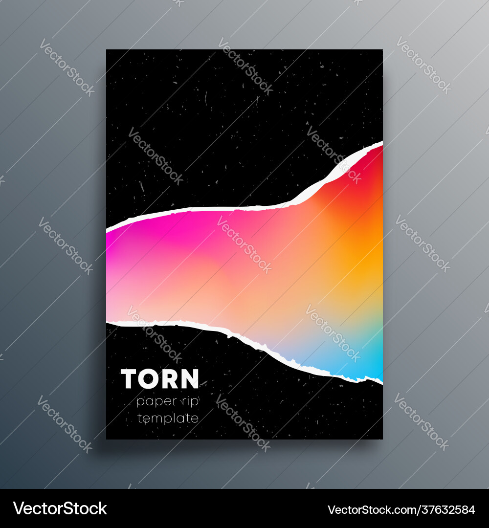 Torn paper rip design for poster flyer brochure Vector Image