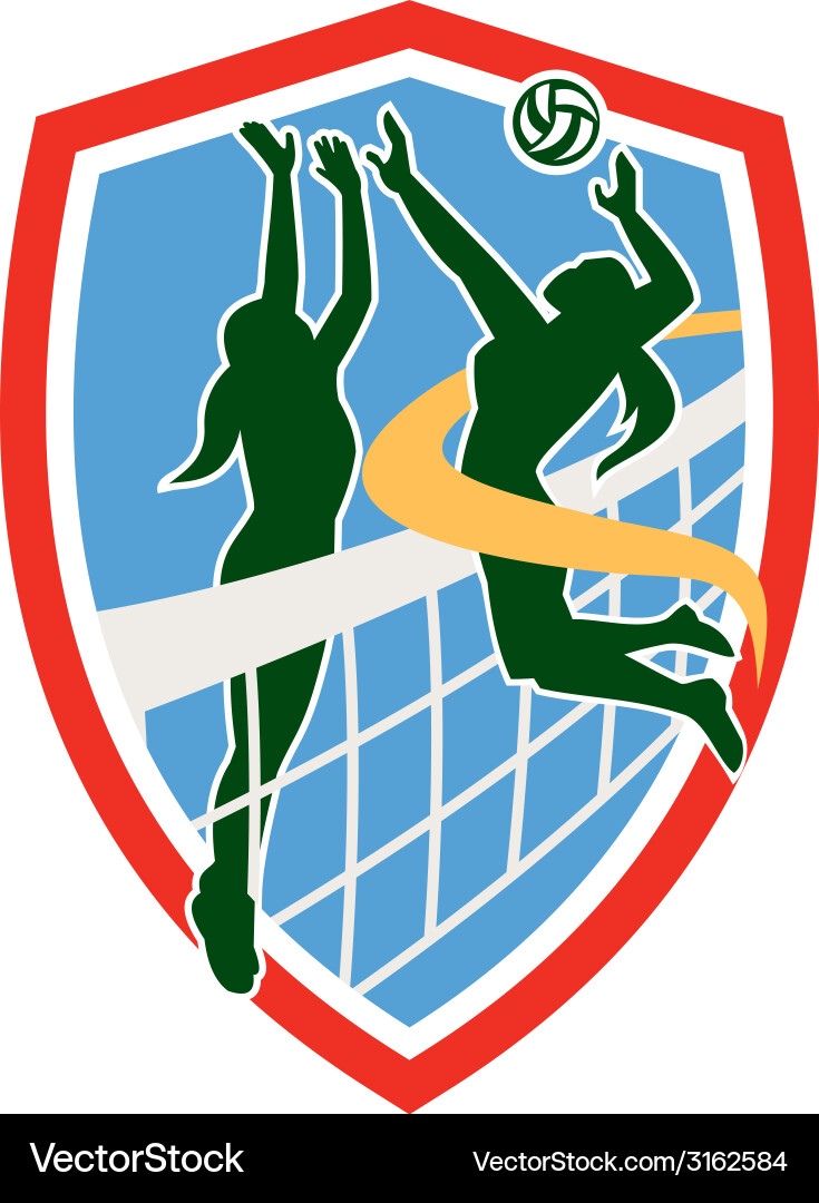 Volleyball player spiking ball blocking shield Vector Image
