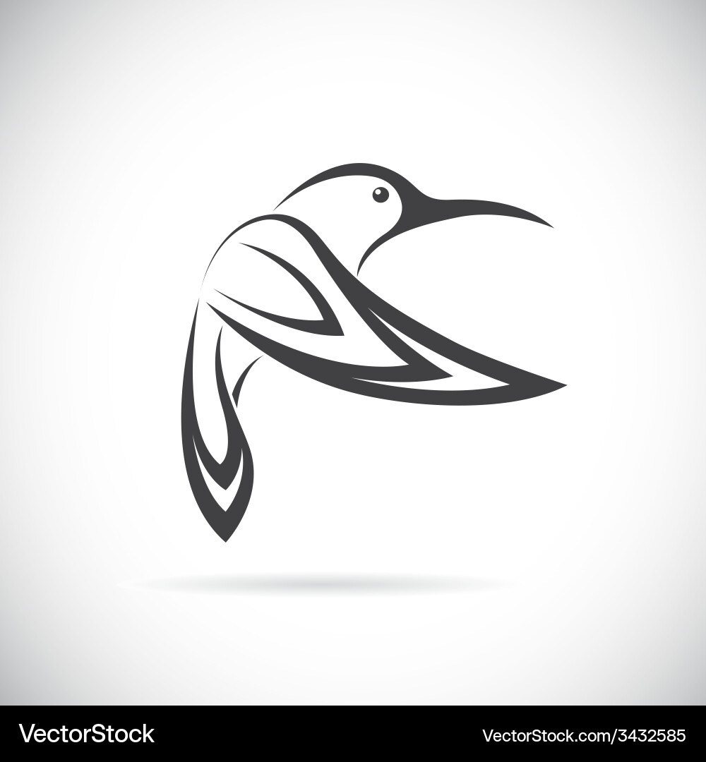 Elegant Hummingbird Icon Royalty Free Vector Image