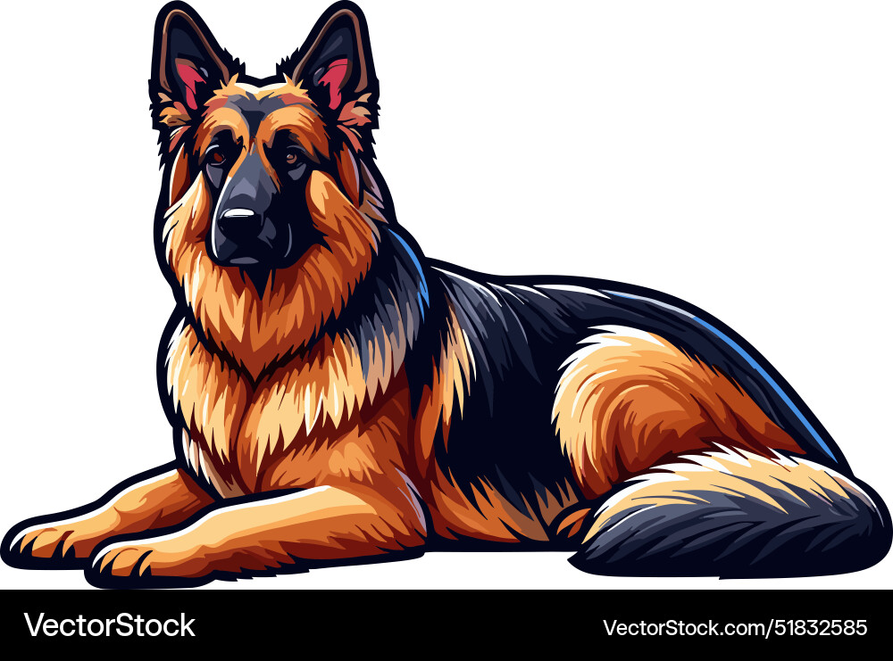 German shepherd majesty striking dog Royalty Free Vector