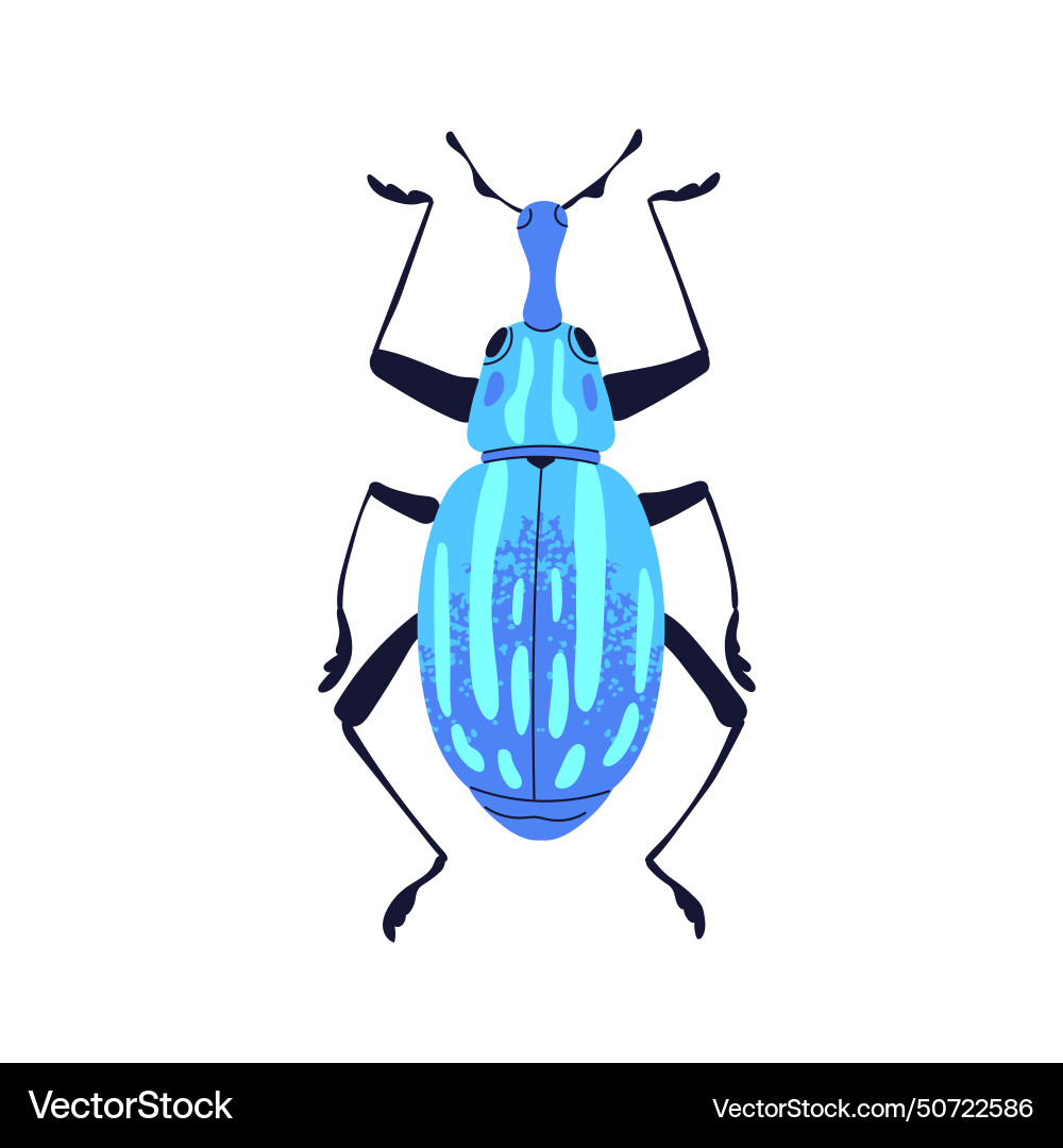 Beetle with antenna proboscis fantastic bug Vector Image