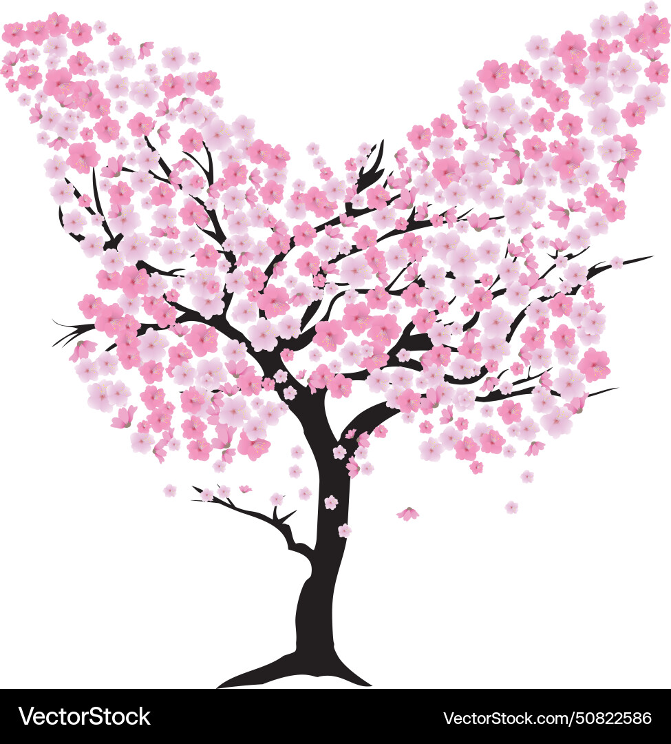 Cherry tree Royalty Free Vector Image - VectorStock