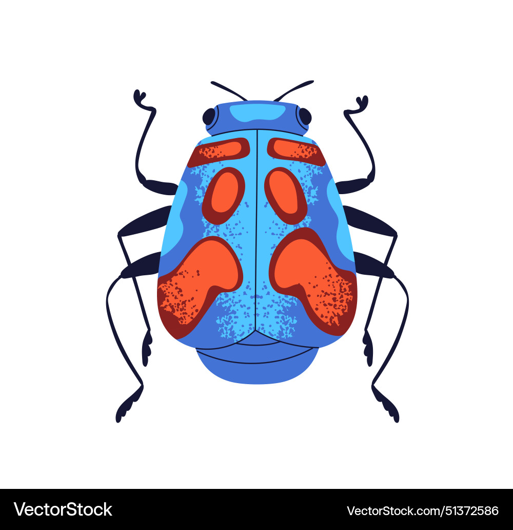 Hibiscus harlequin bug top view colorful bright Vector Image