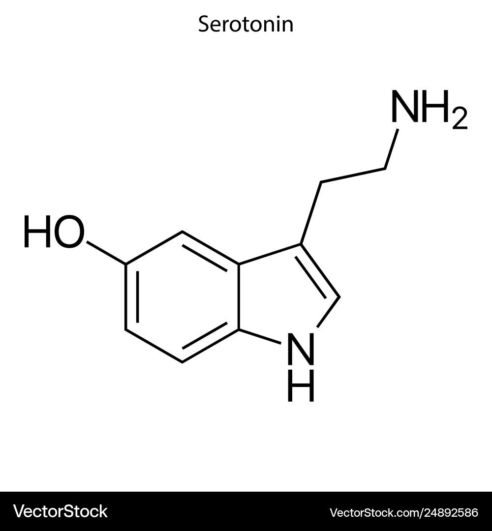 Skeletal formula chemical molecule Royalty Free Vector Image