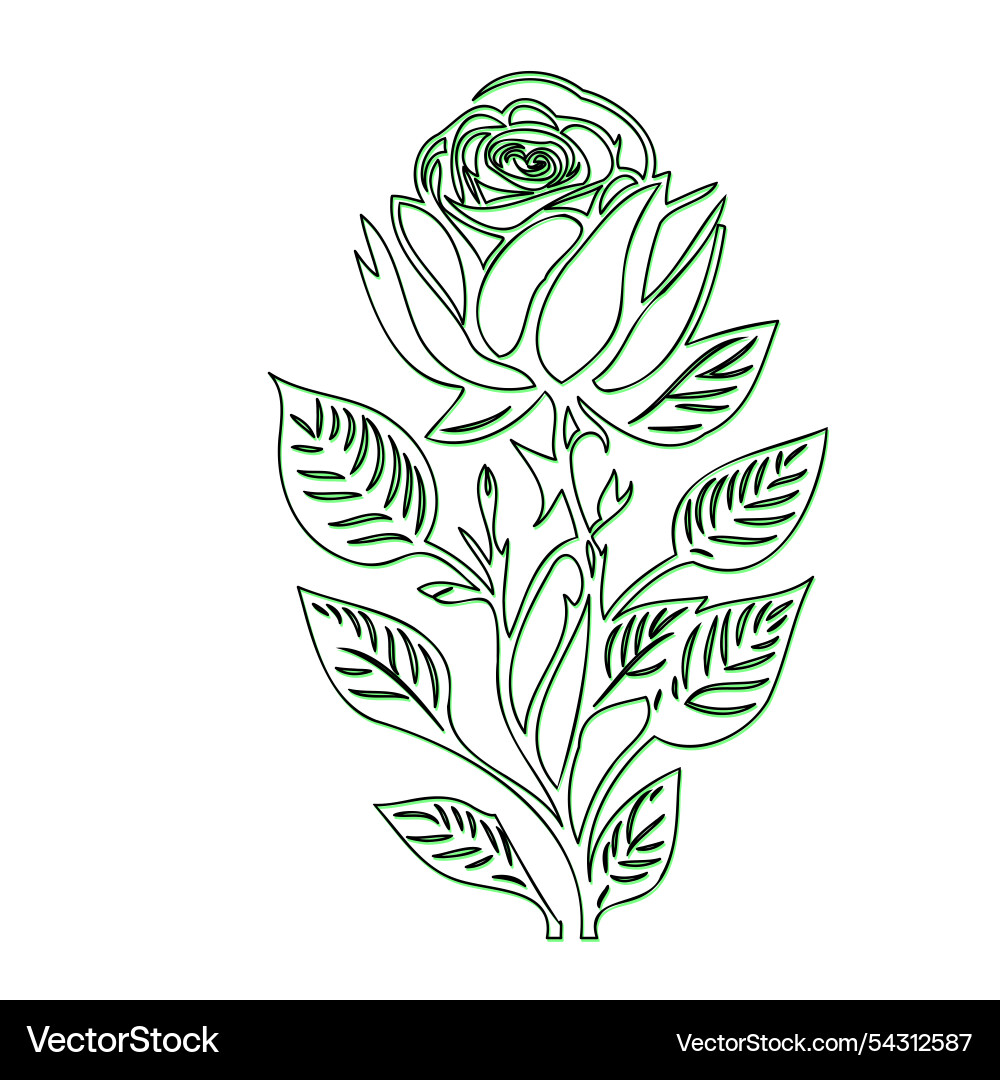 Line art green rose Royalty Free Vector Image - VectorStock