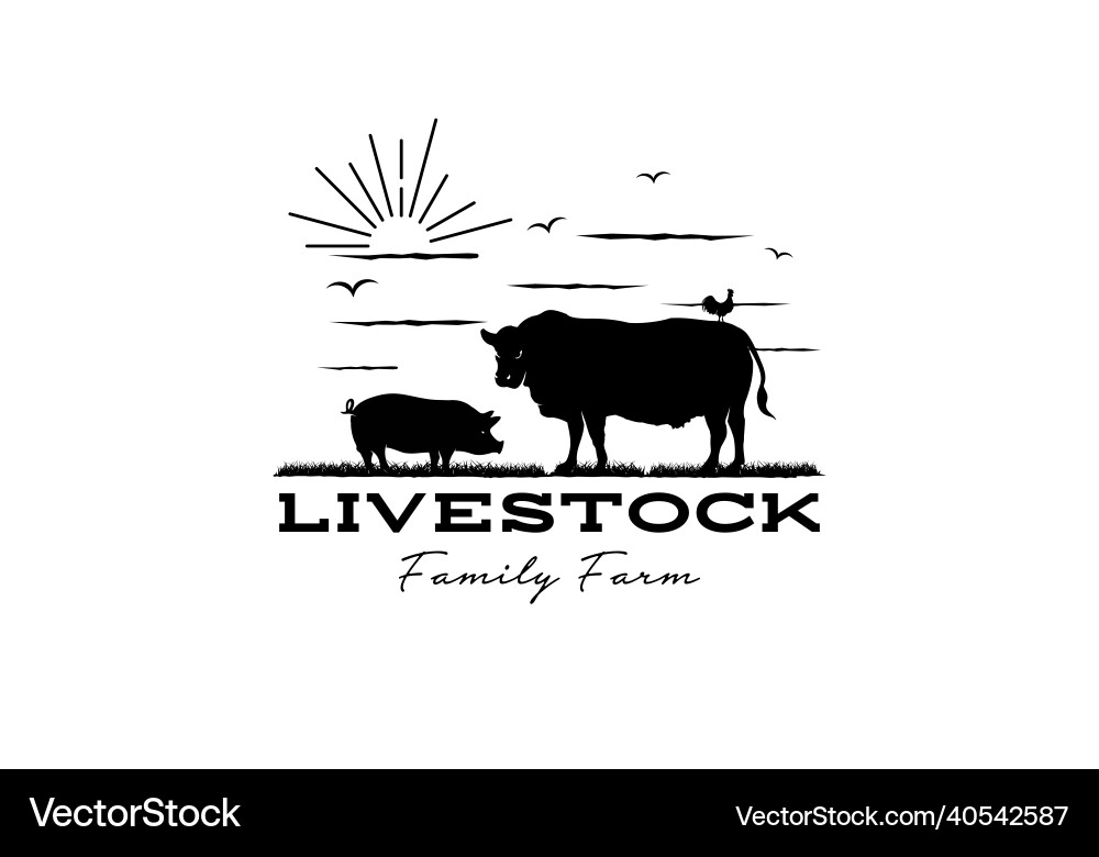 Livestock logo design template Royalty Free Vector Image