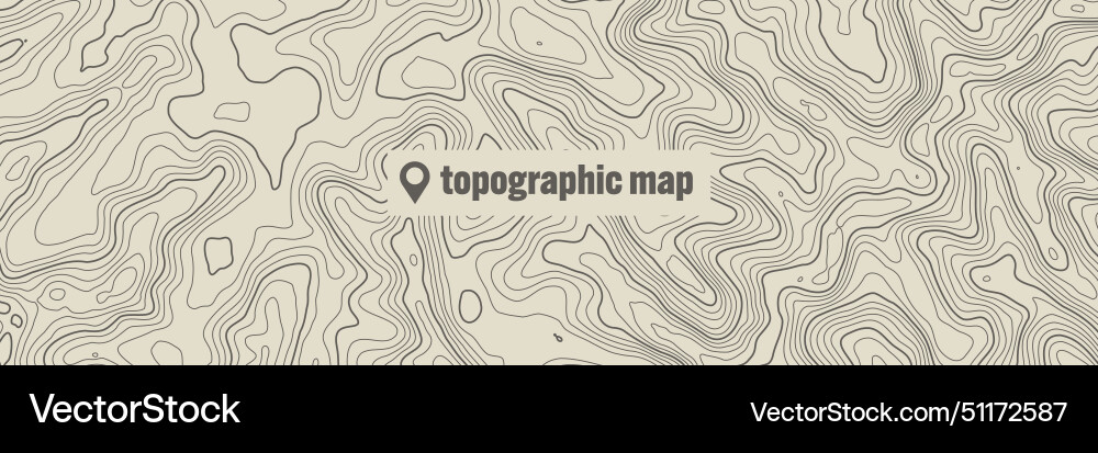 Topographic map with contour lines geographic Vector Image