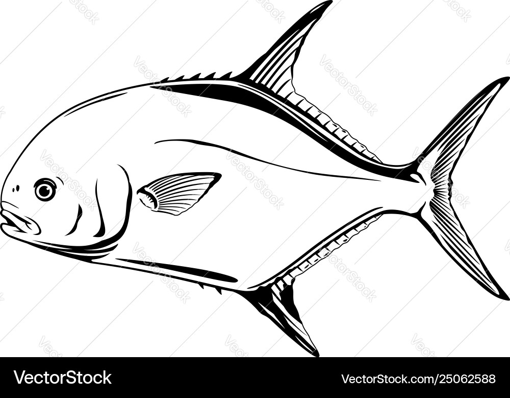Permit Fish - Side View Royalty Free Vector Image