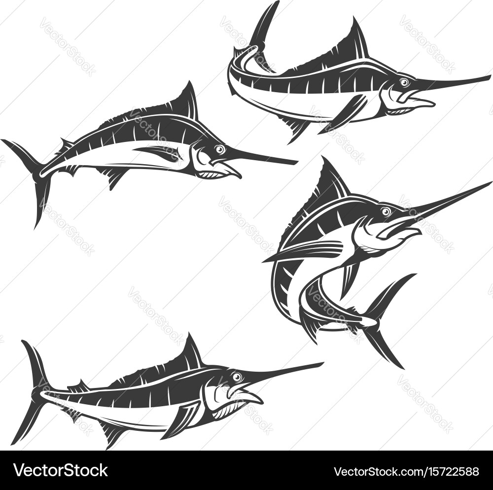 Swordfish icons isolated on white background Vector Image