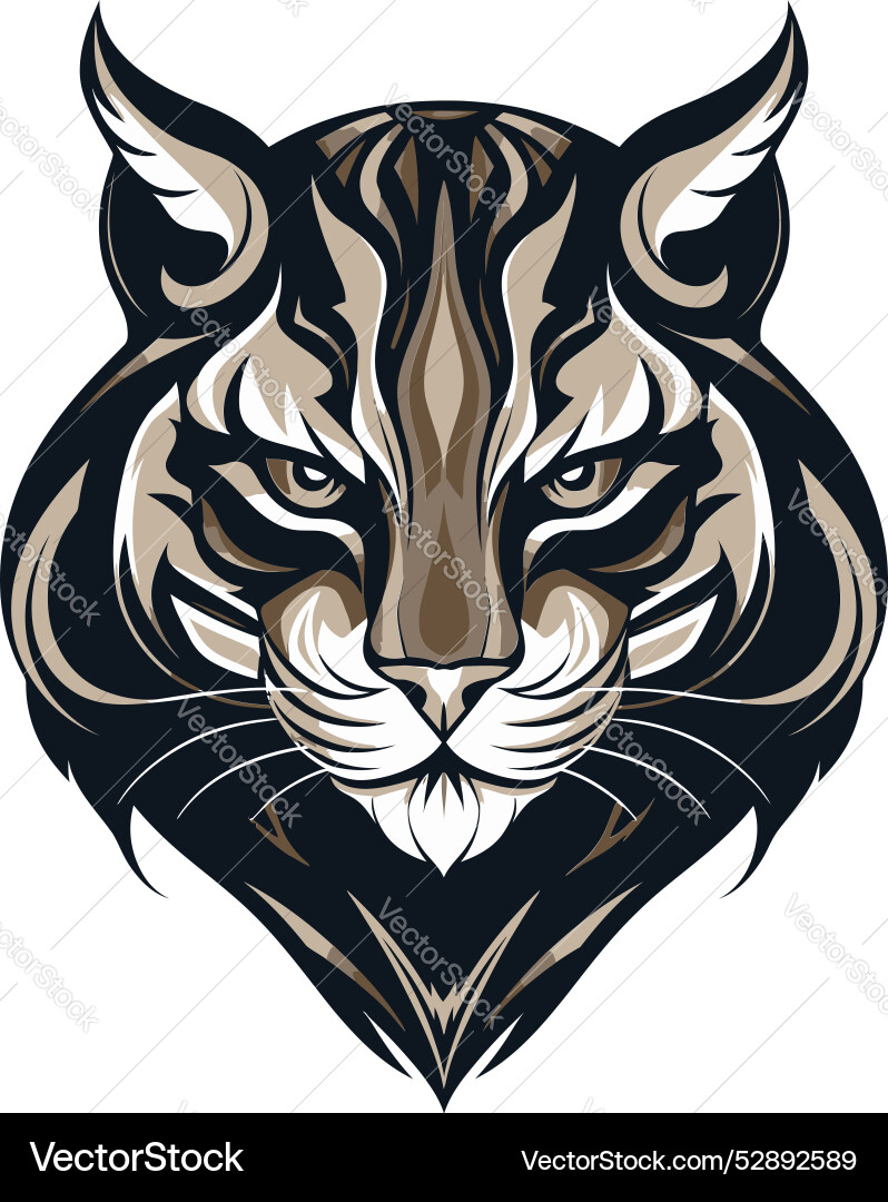 Bobcat design a wild predator animal in a design Vector Image