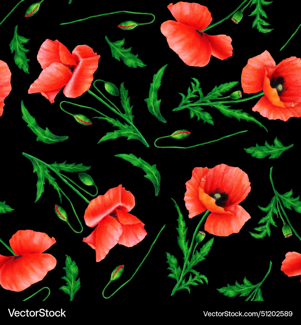 Watercolor hand drawn poppies pattern Royalty Free Vector