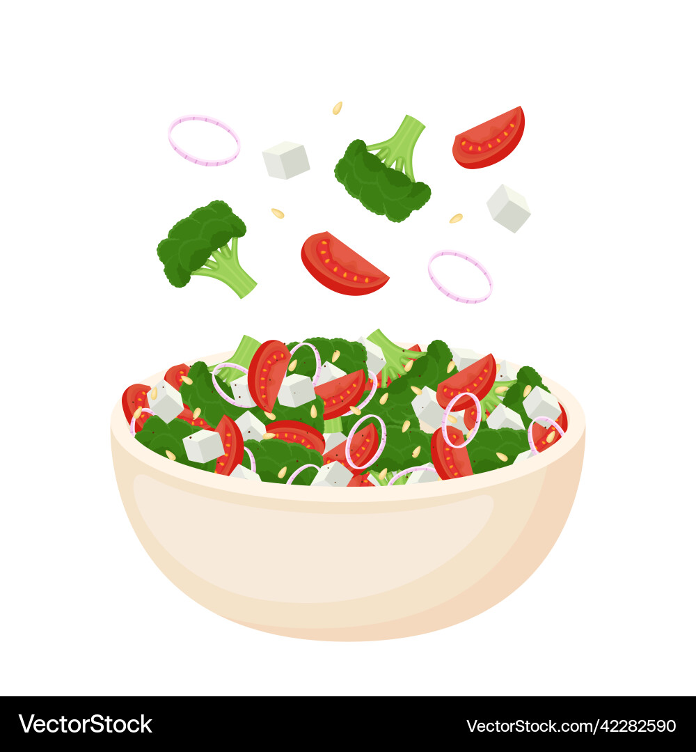 Homemade salad from fresh vegetables cheese Vector Image