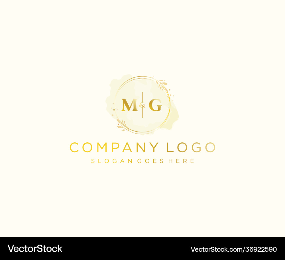 Initial mg letters colorful watercolor splash Vector Image