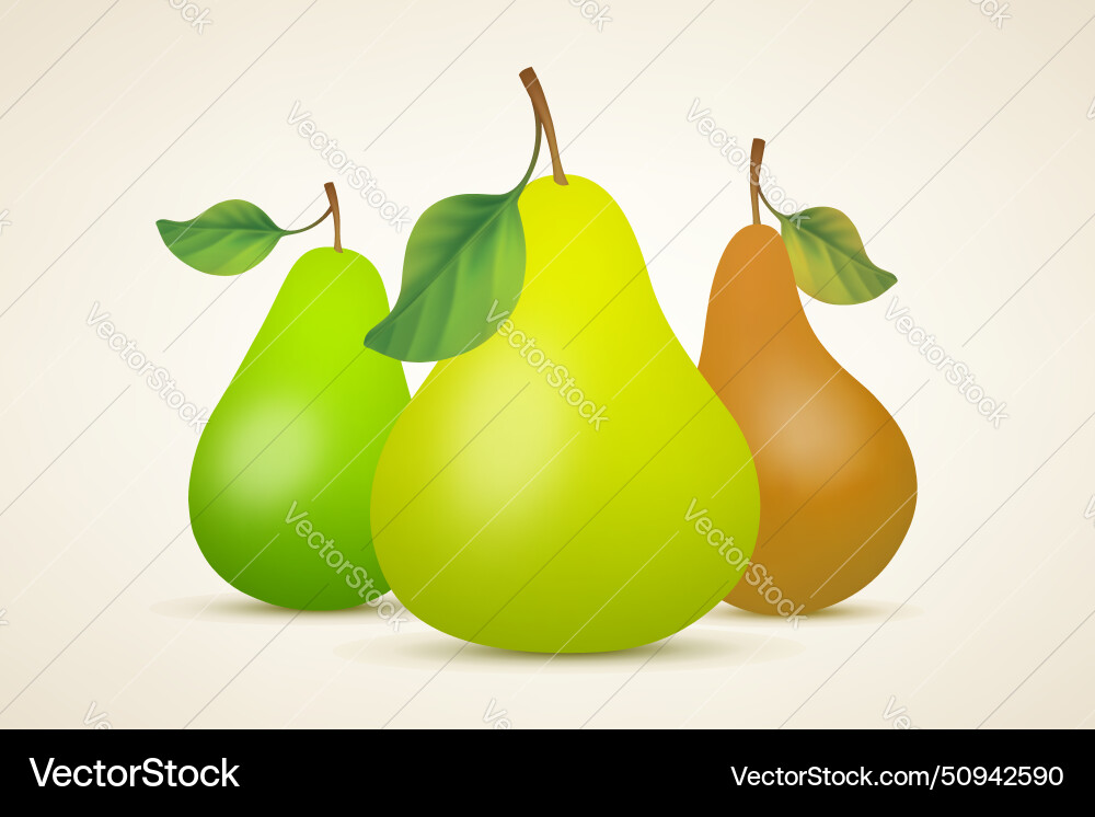 Three bright pears Royalty Free Vector Image - VectorStock