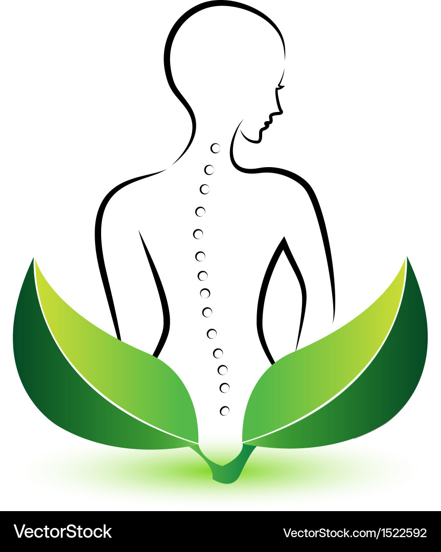 Human spine logo Royalty Free Vector Image - VectorStock