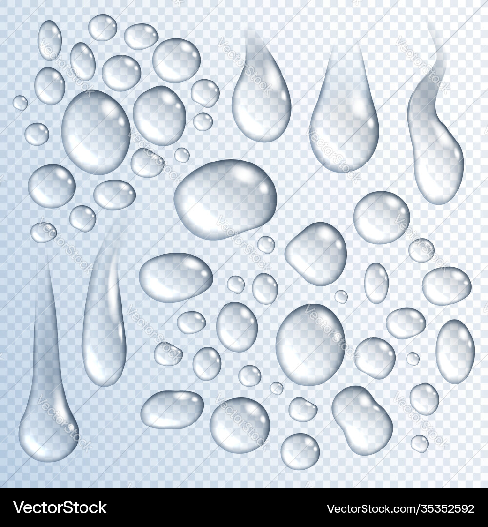 Realistische Wassertropfen auf transparentem Hintergrund