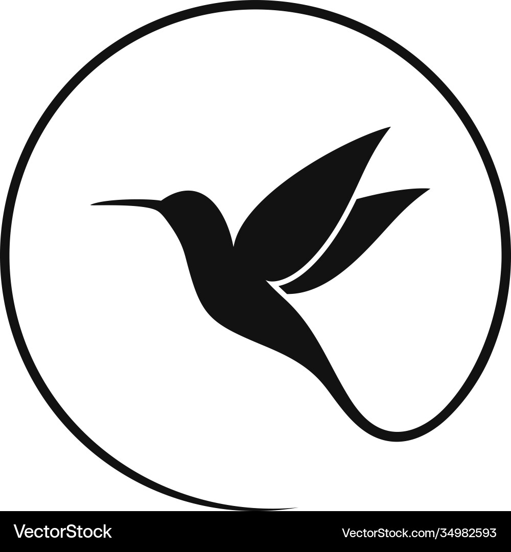 Hummingbird Royalty Free Vector Image - VectorStock