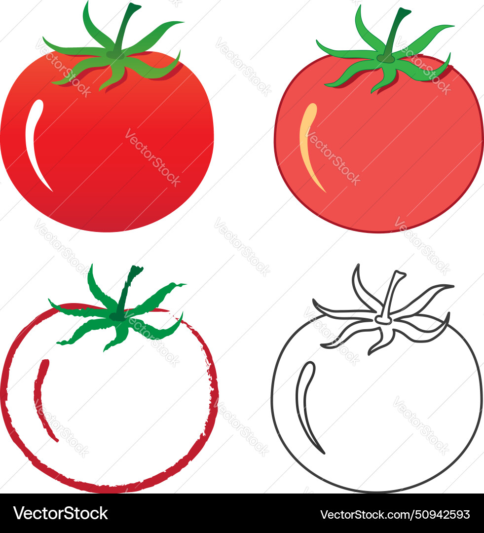 Simple tomatoes Royalty Free Vector Image - VectorStock