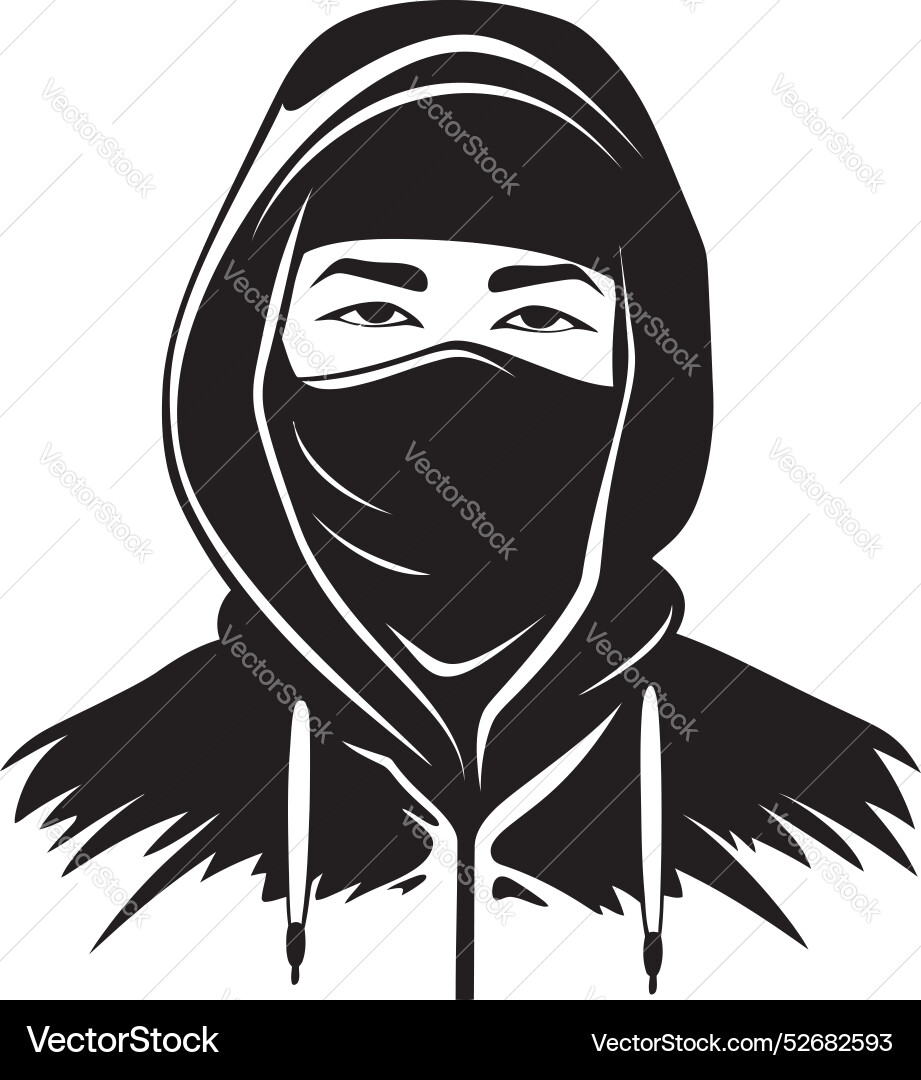 Stealth sentinel masked visage and design Vector Image