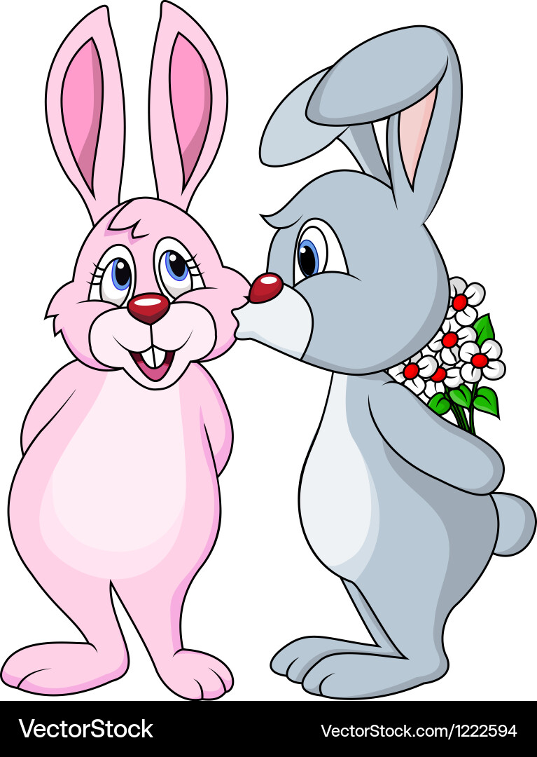 Romantic Rabbit Couple Royalty Free Vector Image