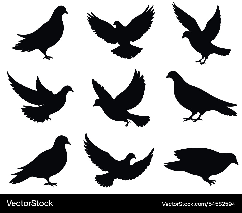 Set of dove silhouettes Royalty Free Vector Image