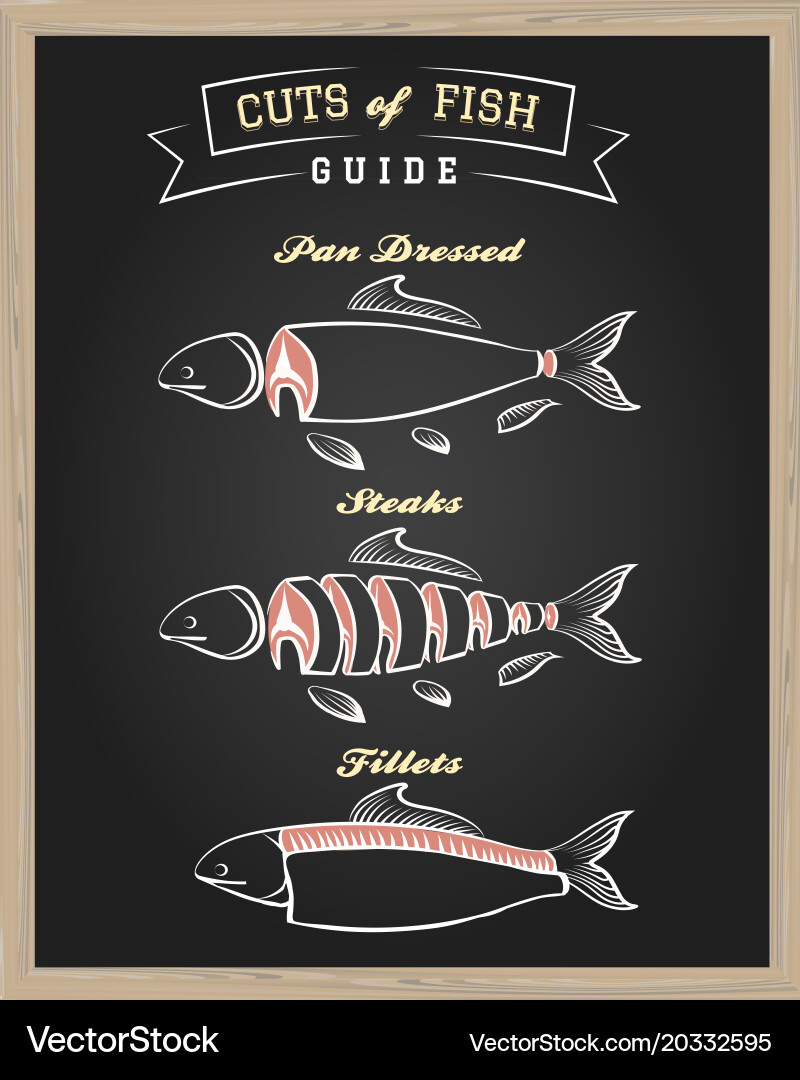 Cuts of fish guide Royalty Free Vector Image - VectorStock