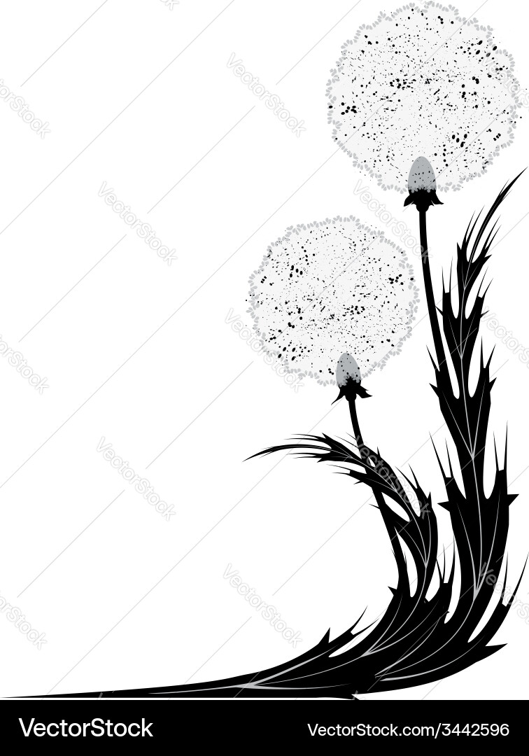 Dandelion Royalty Free Vector Image - VectorStock