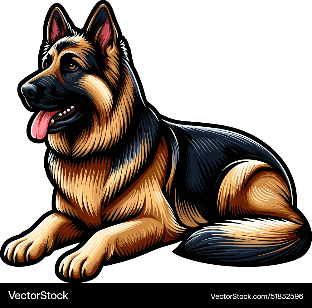 German shepherd majesty striking dog Royalty Free Vector