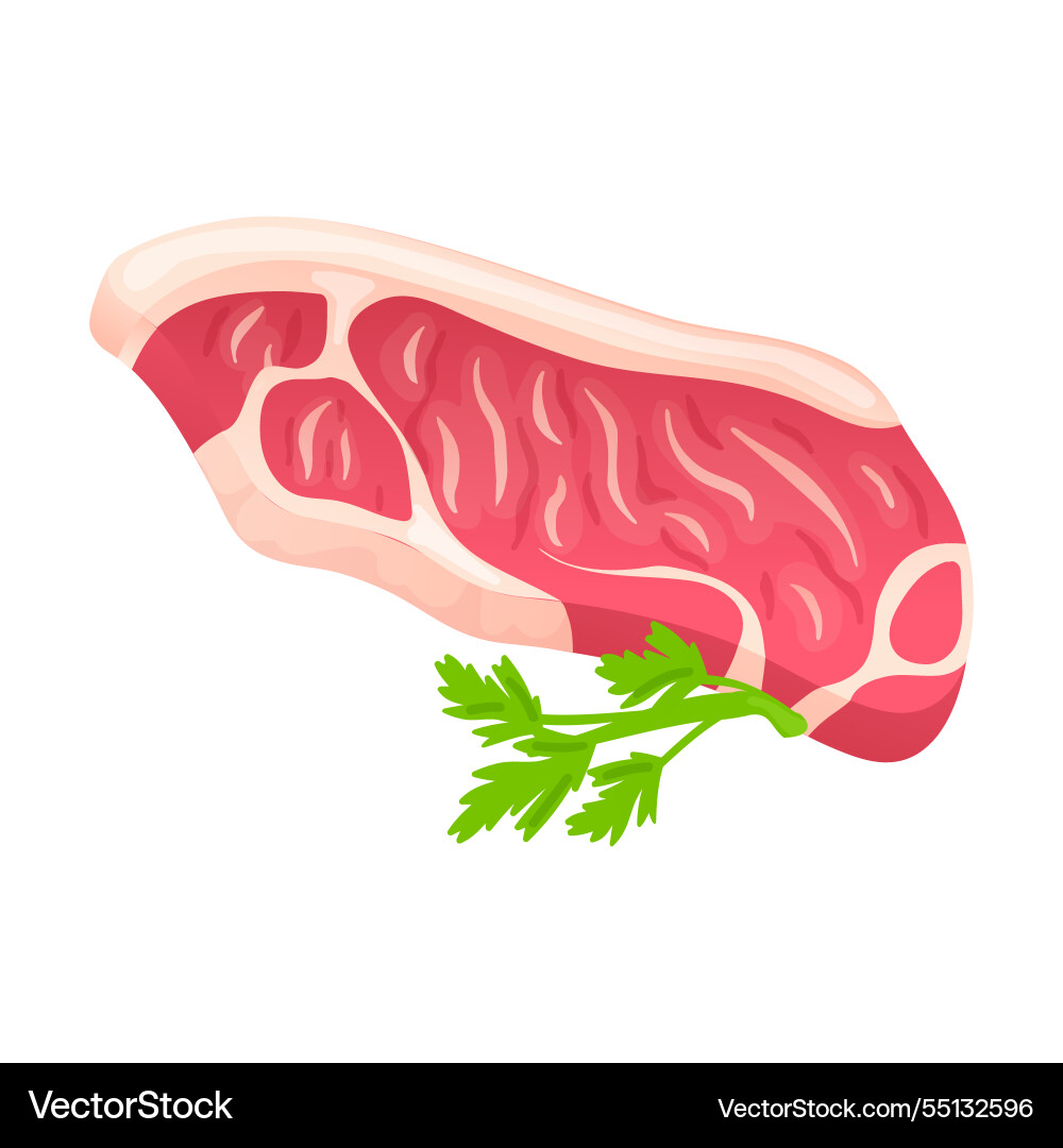 Raw red meat in flat design uncooked beef or pork Vector Image