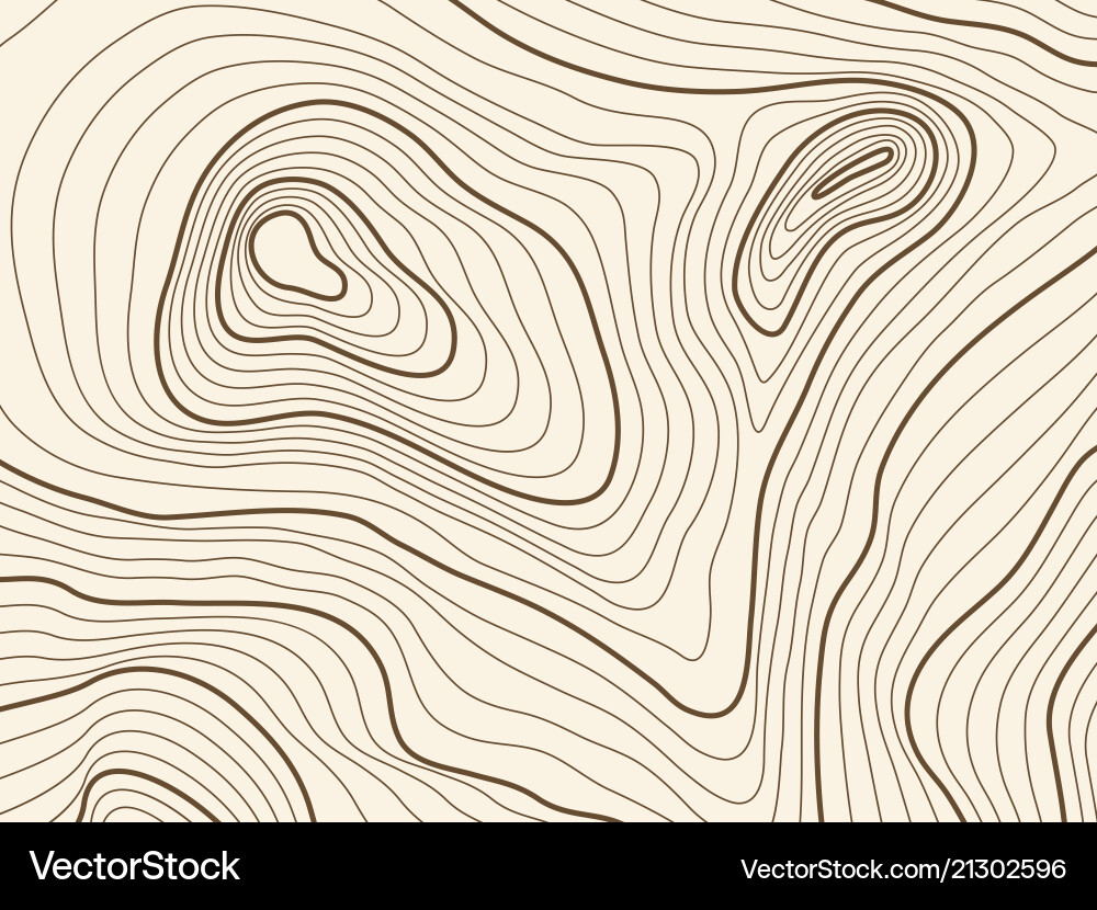 Topographic map background of mountain terrain Vector Image