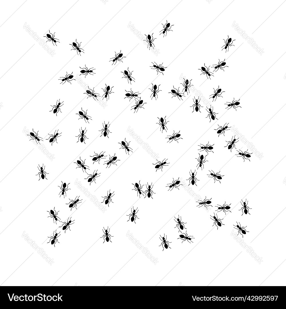 Ants set groups of working on white Royalty Free Vector