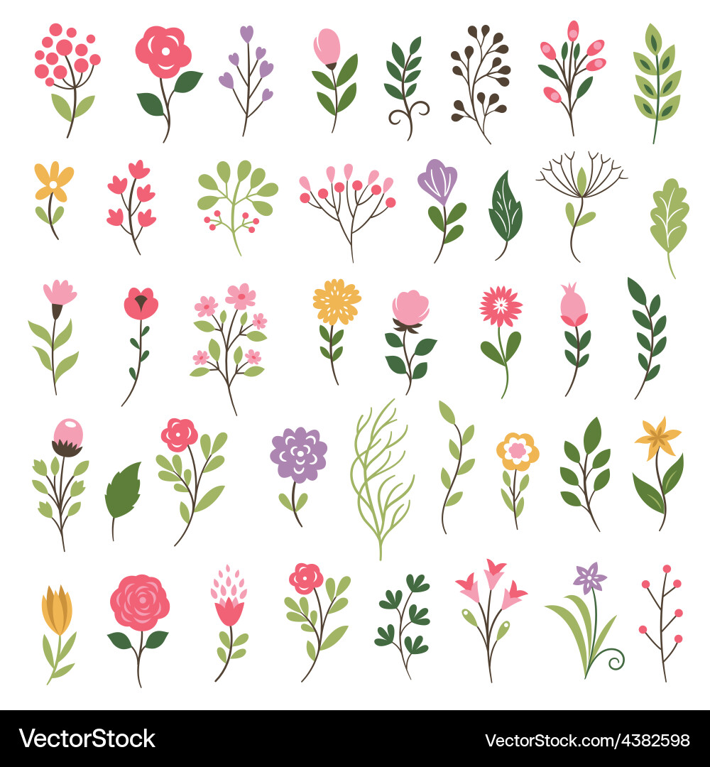 Colorful floral collection with leaves and flowers