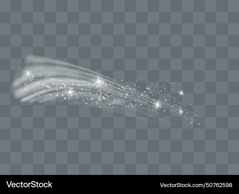 Snow and wind on a transparent background white Vector Image