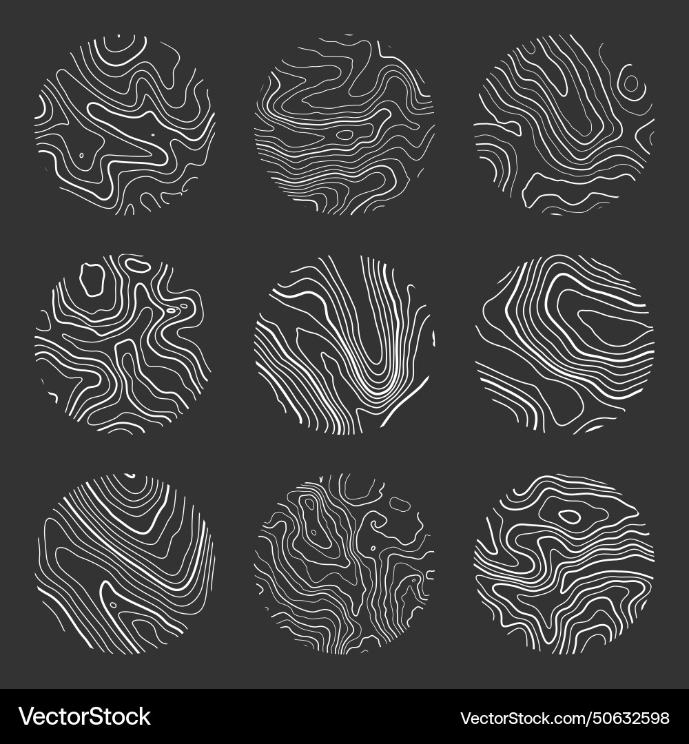Topographic map with contour lines geographic Vector Image
