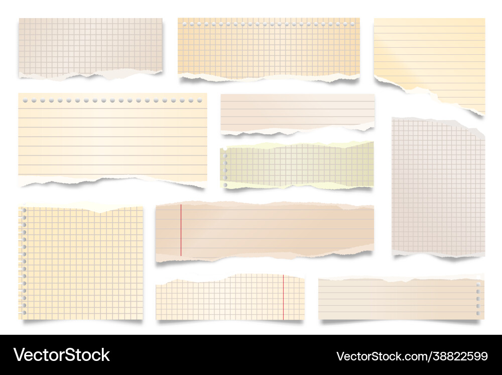 Colorful ripped paper strips isolated on white Vector Image