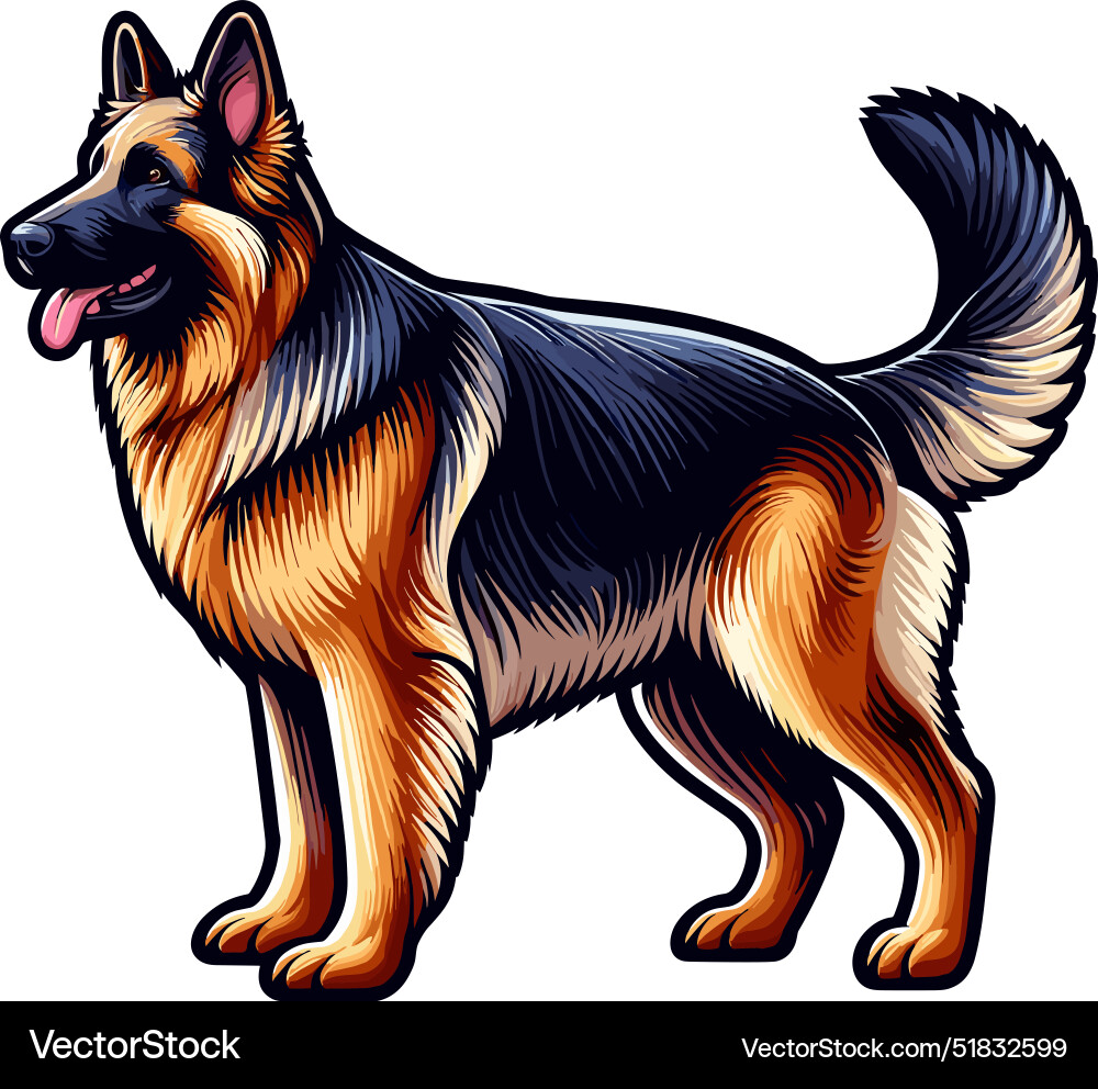 German shepherd majesty striking dog Royalty Free Vector