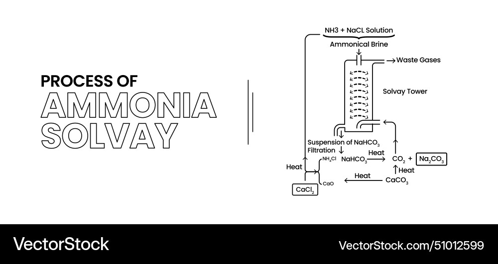 Process of ammonia solvay Royalty Free Vector Image