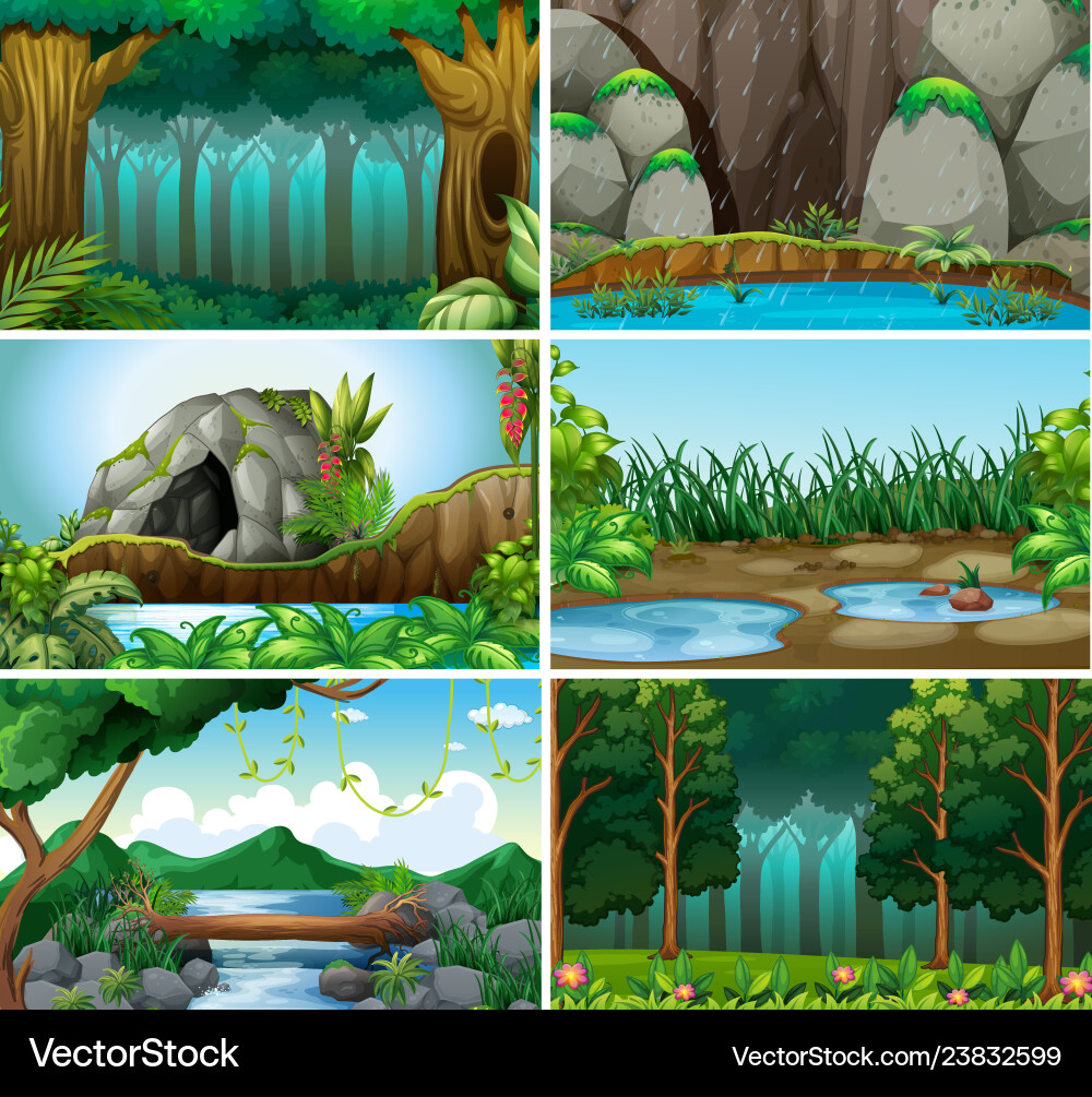 Set of forest background Royalty Free Vector Image