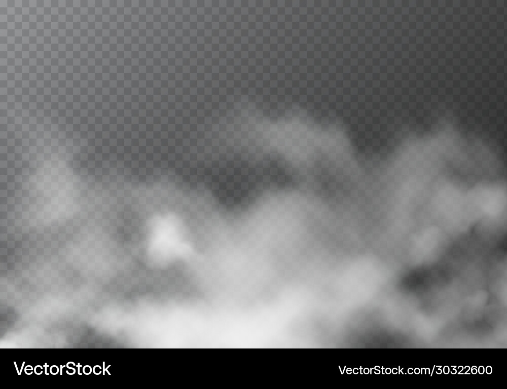 Realistic white fog or smoke isolated Royalty Free Vector
