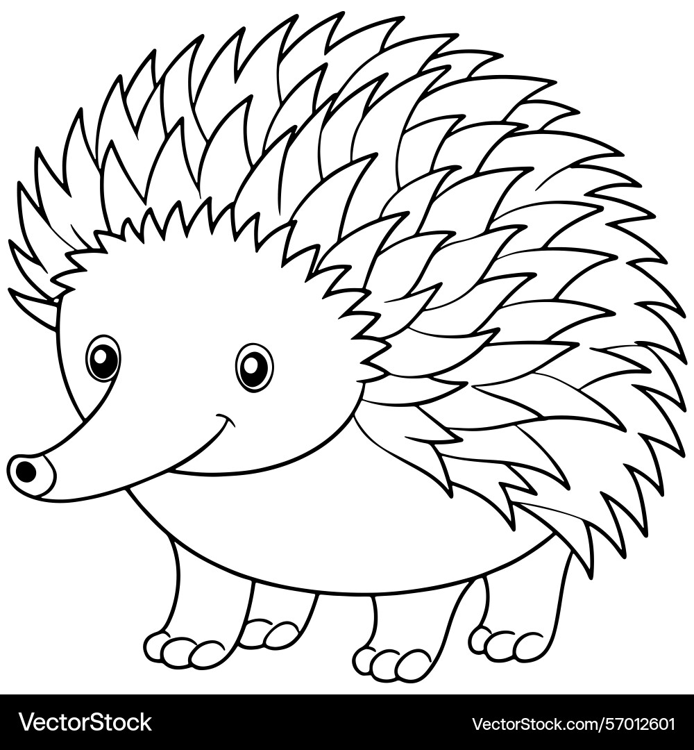 Echidna coloring page printable cute animal Vector Image