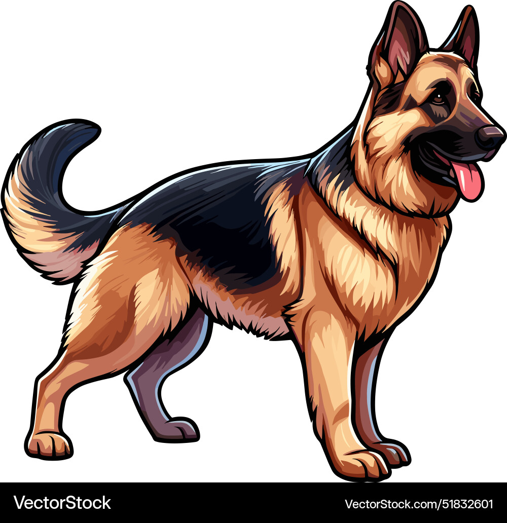 German shepherd majesty striking dog Royalty Free Vector