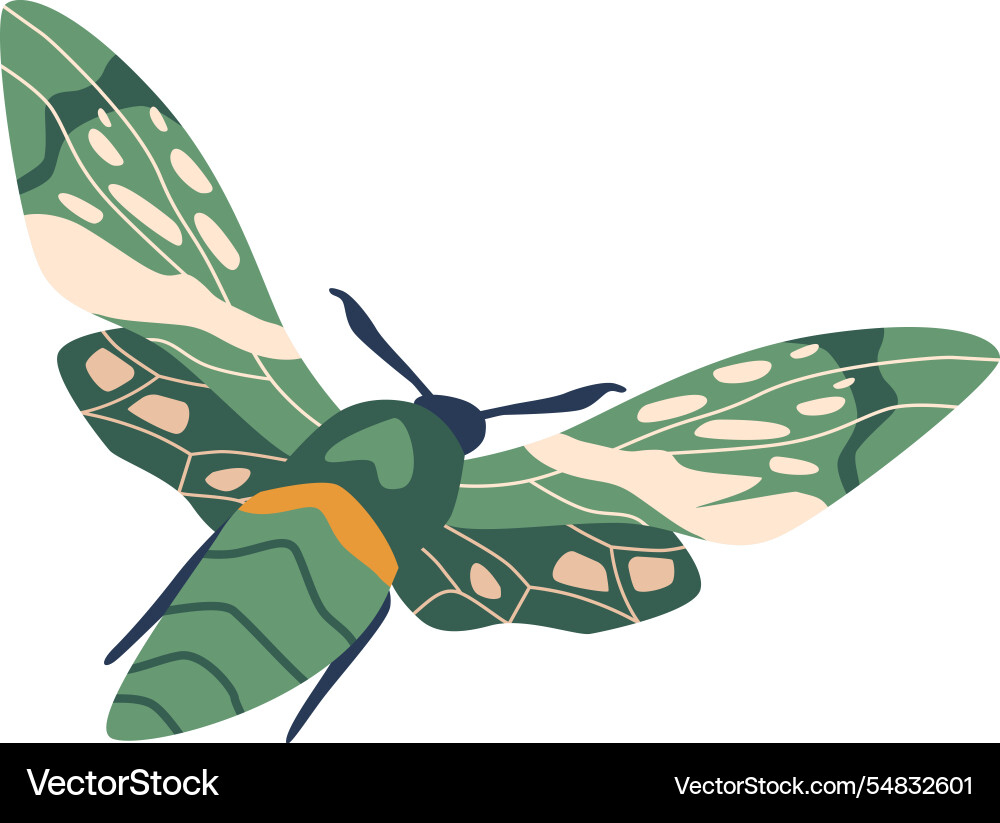 Green moth flying bug Royalty Free Vector Image
