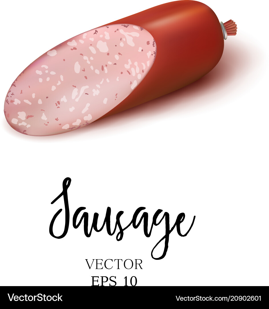 Realistic Smoked Sausage Slice Royalty Free Vector Image