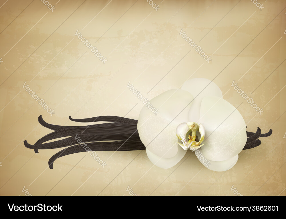 Vanilla retro background Royalty Free Vector Image